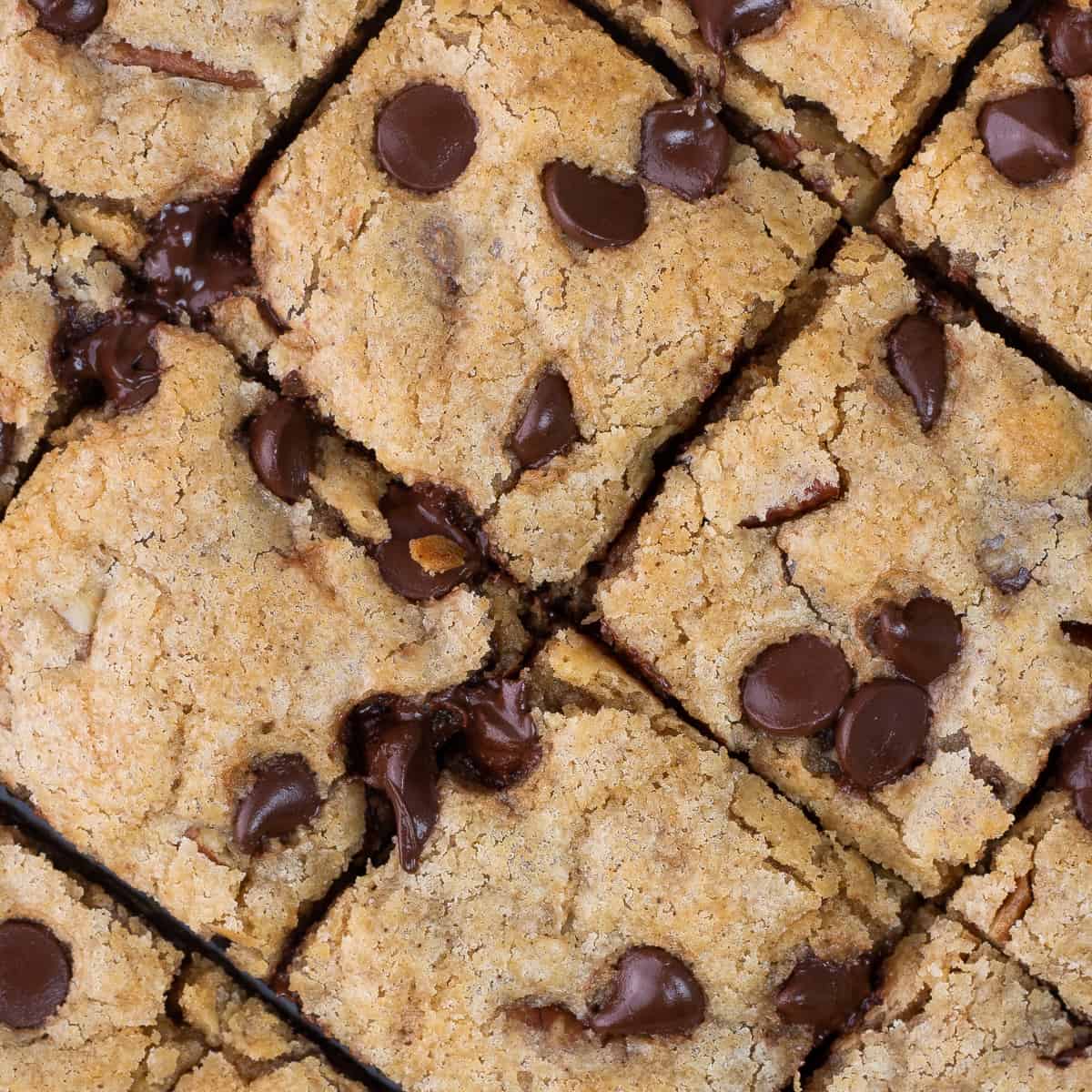 Brown Butter Blondies w/ Chocolate Chips and Pecans | Short Stack Kitchen