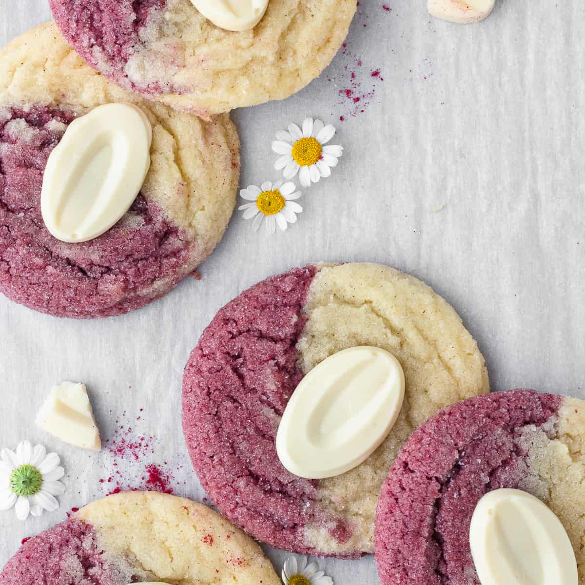 Raspberry Sugar Cookies | Short Stack Kitchen