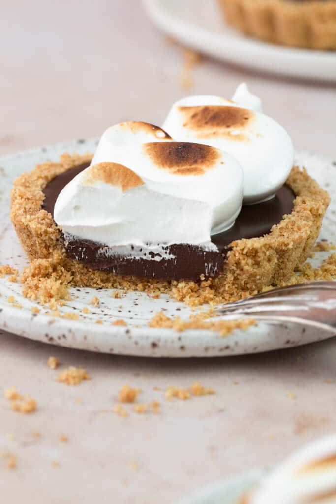 Mini S'mores Tarts (No-Bake) | Short Stack Kitchen