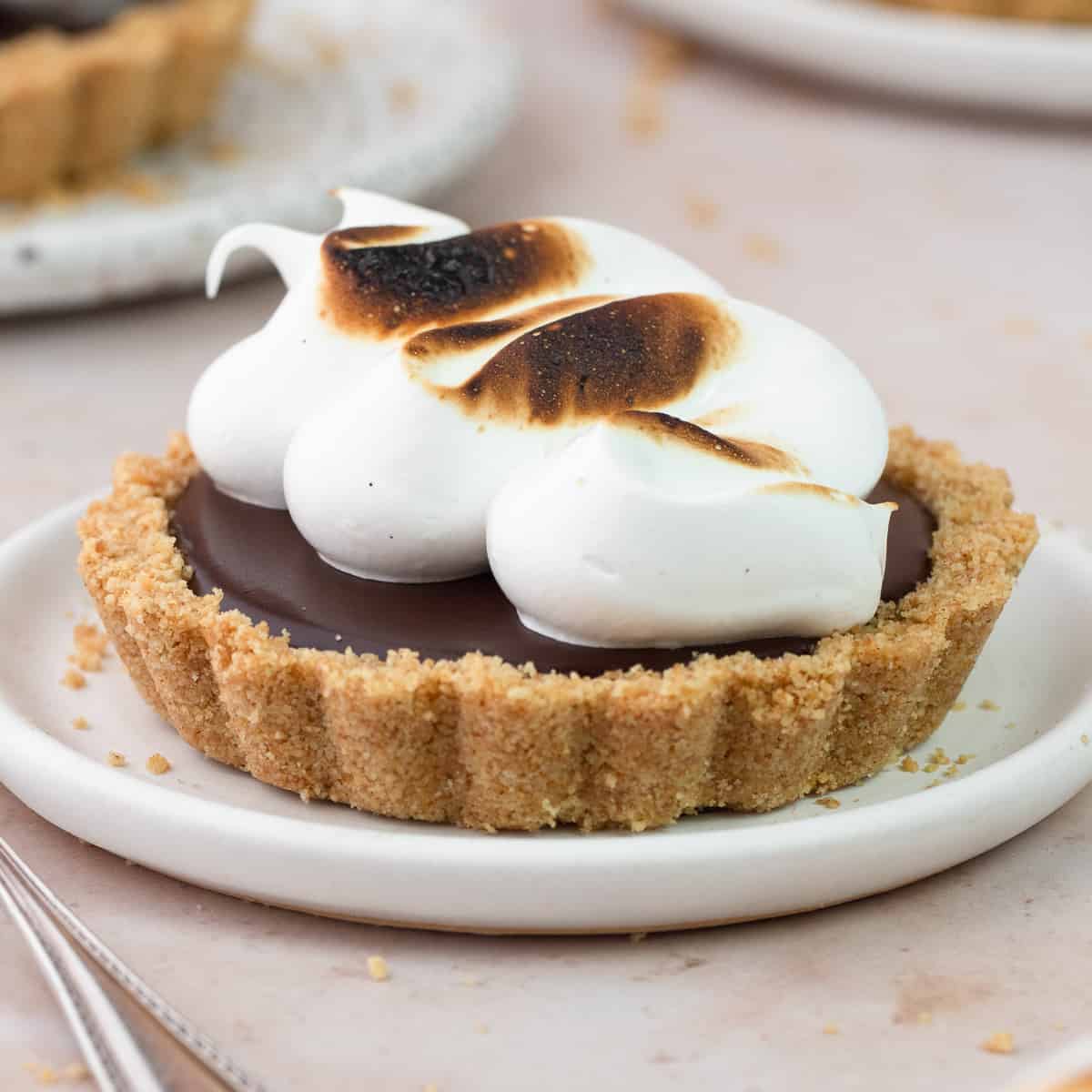 Mini S'mores Tarts (No-Bake) | Short Stack Kitchen